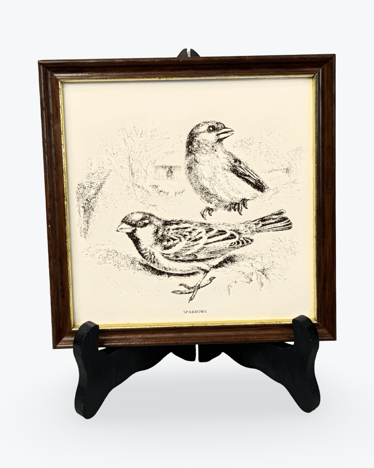 Sparrow Enamelled Line Drawing – Red Door Store Australia